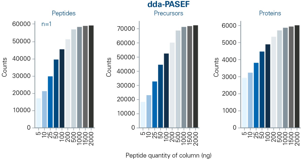 Targeted Protein Degraders | Bruker