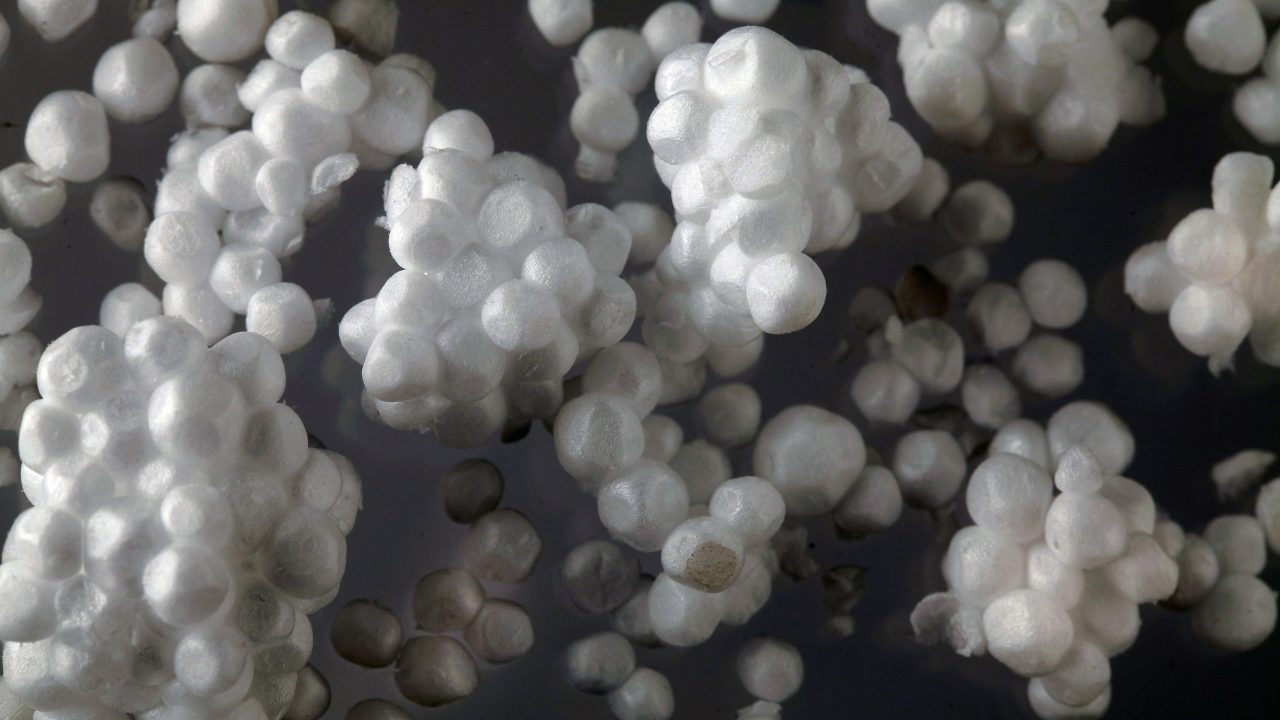 Polymers & Plastics | Bruker