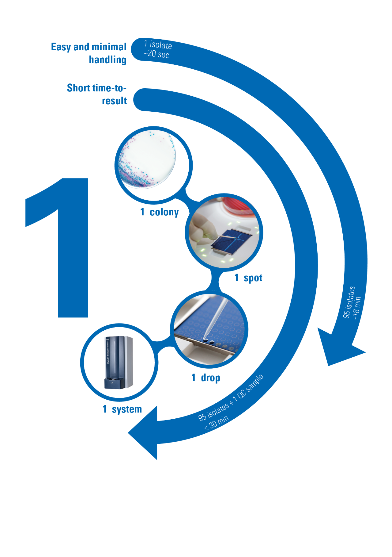 MALDI Biotyper® for Food Microbiology | Bruker