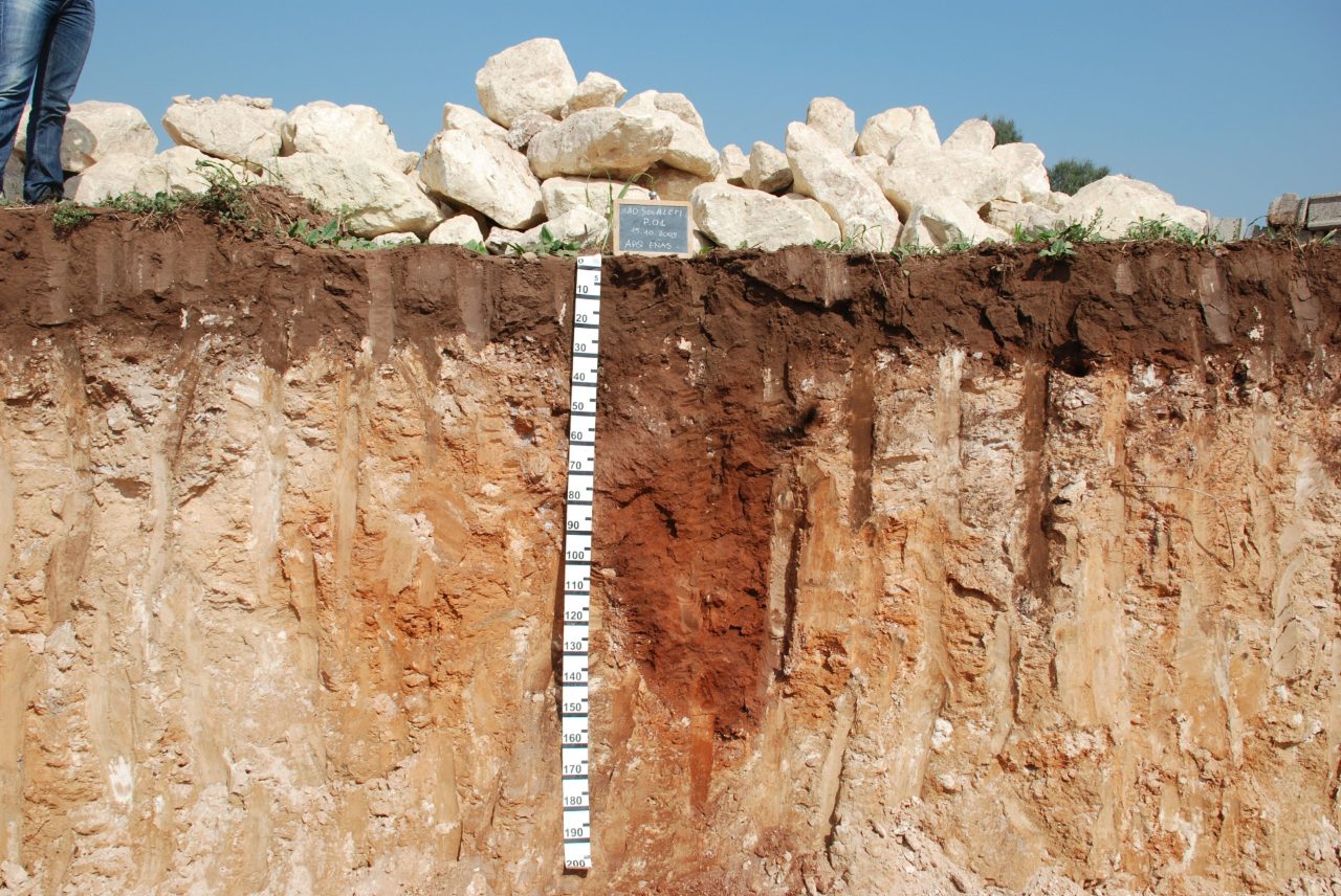 Critical Zone and Environmental Science | Bruker