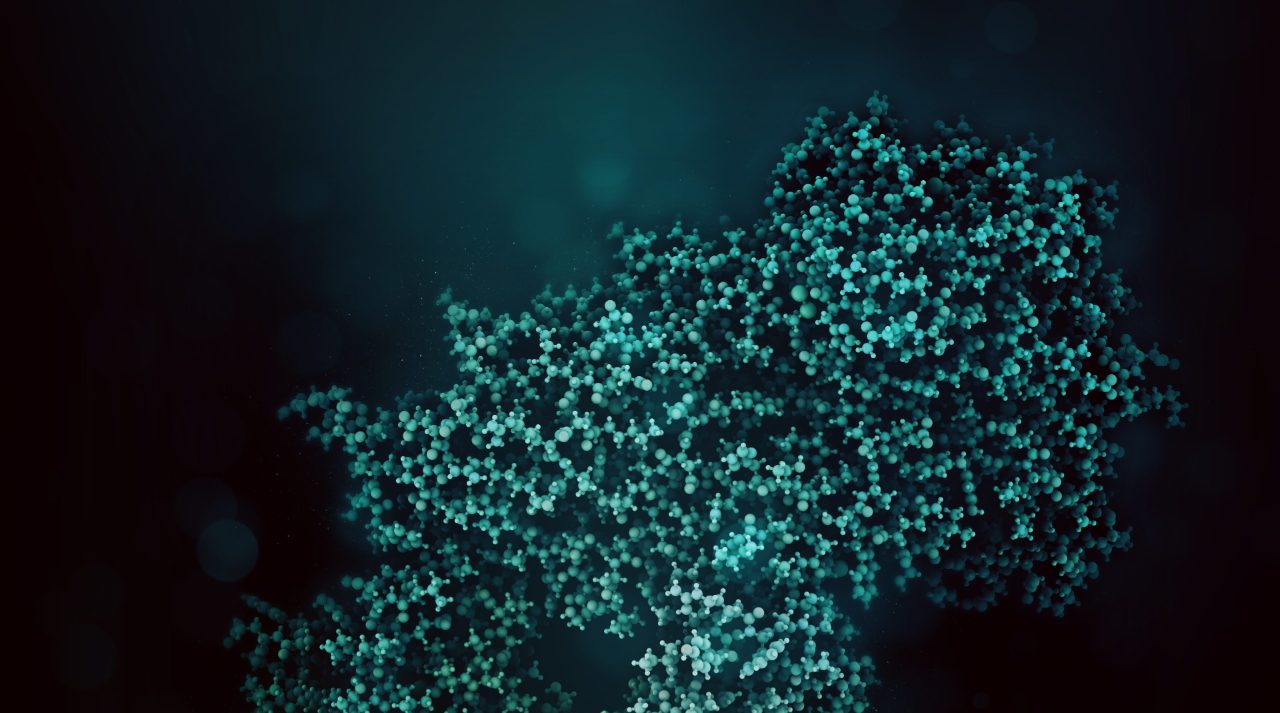 利用核磁共振（NMR）进行功能和结构生物学研究 | Bruker