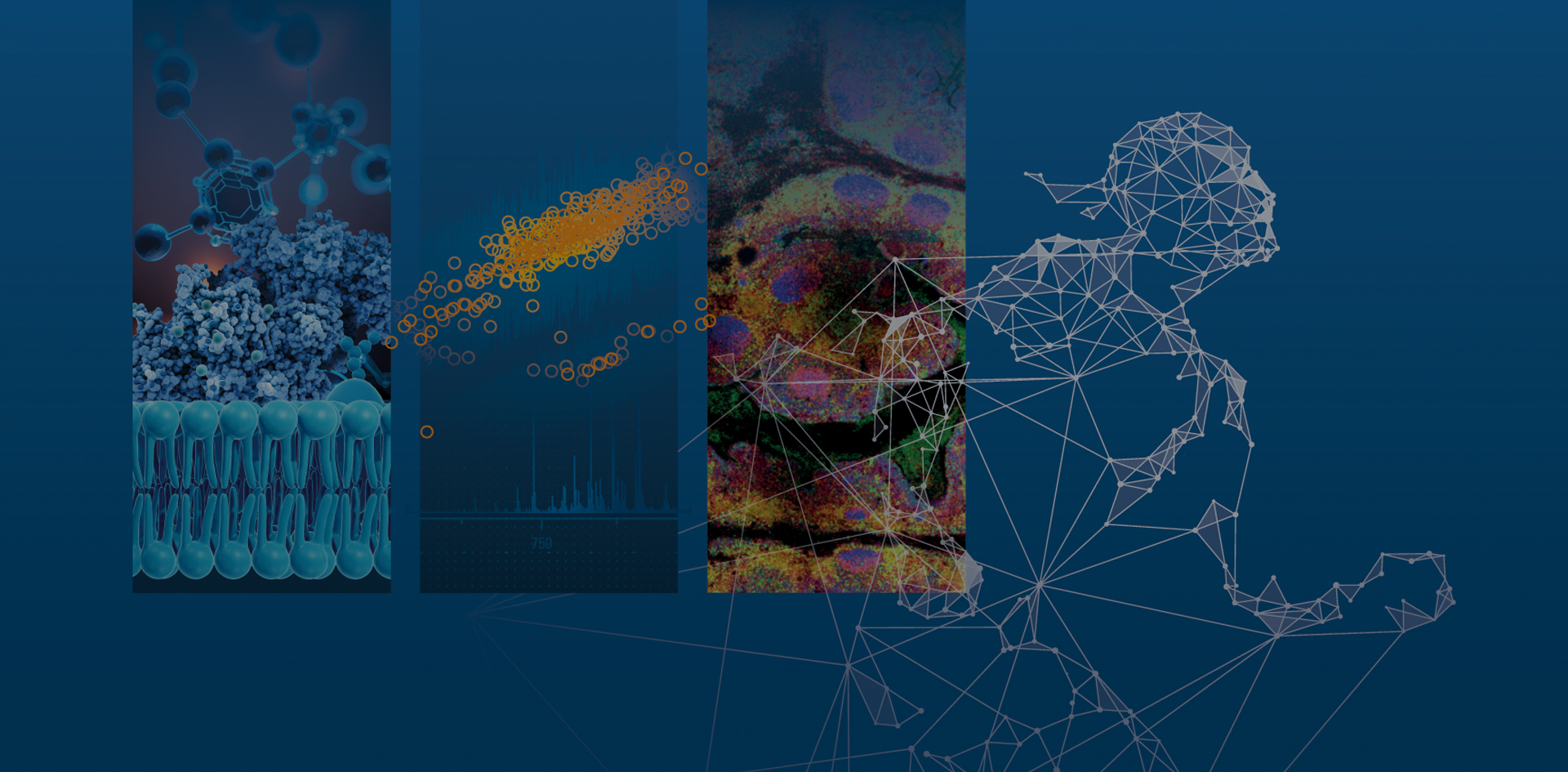 European Society for Spatial Biology | Bruker