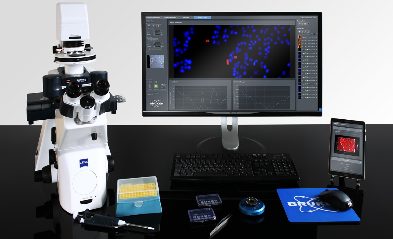 Bruker Launches New High-Speed AFM System for Life Science Microscopy ...