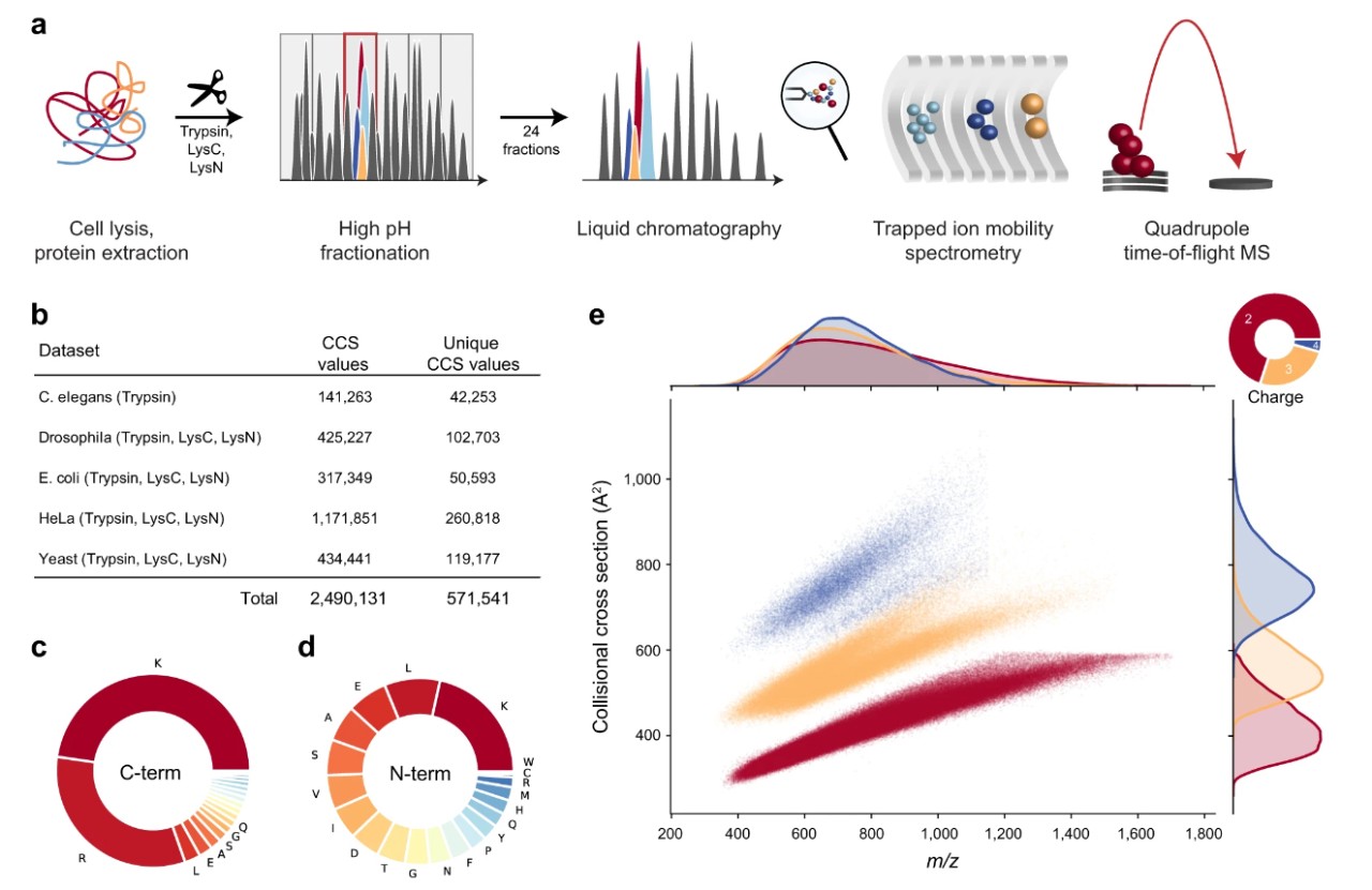 Bruker Announces New Results in Deep, Unbiased Plasma Proteomics ...