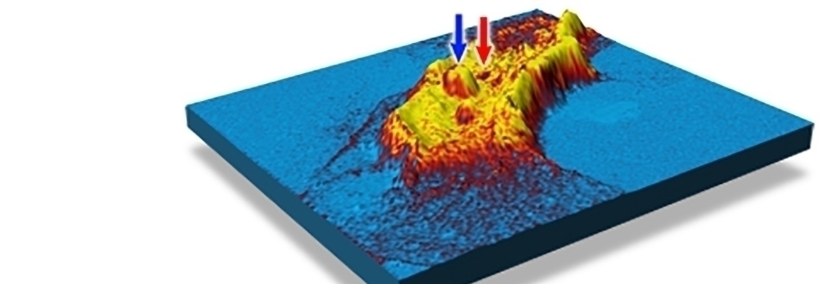 10nm Resolution Chemical Imaging with Tapping AFM-IR | Bruker