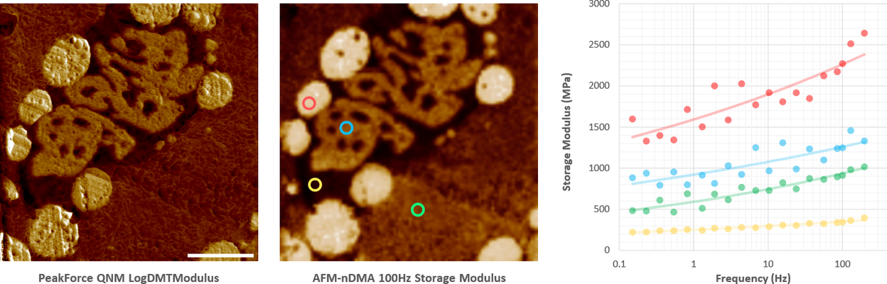Exploring the Limits of Viscoelastic Phenomena with AFM-Based ...