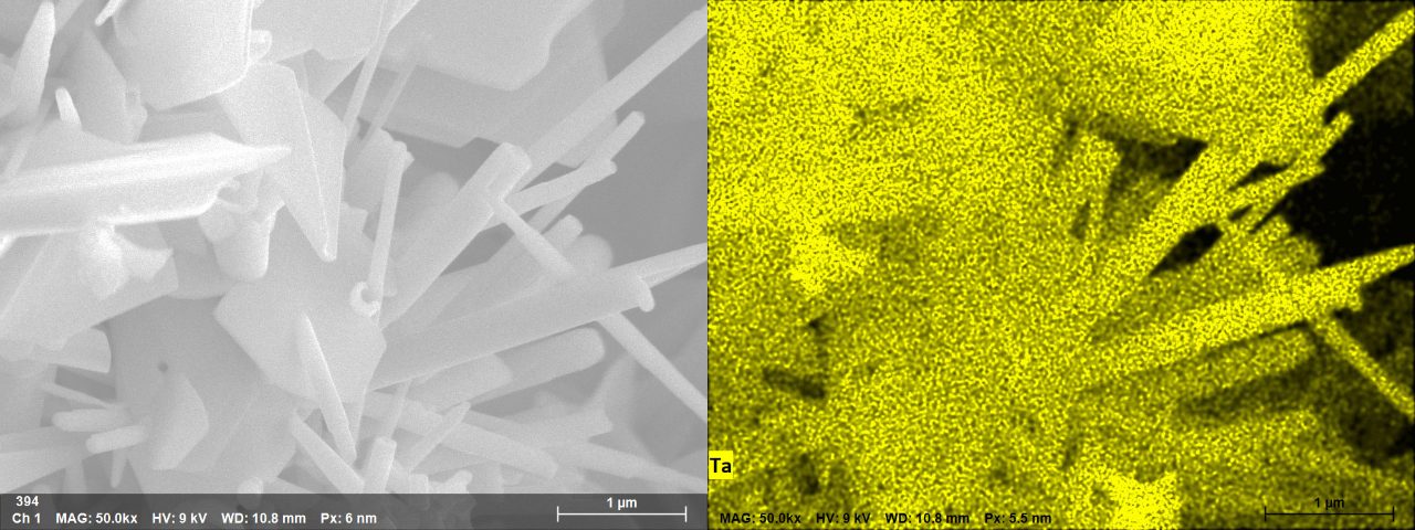 Advanced Application Examples using SEM-EDS | Bruker