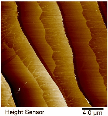 AFM Imaging and Beyond: A Practical Guide to AFM Modes for Materials ...