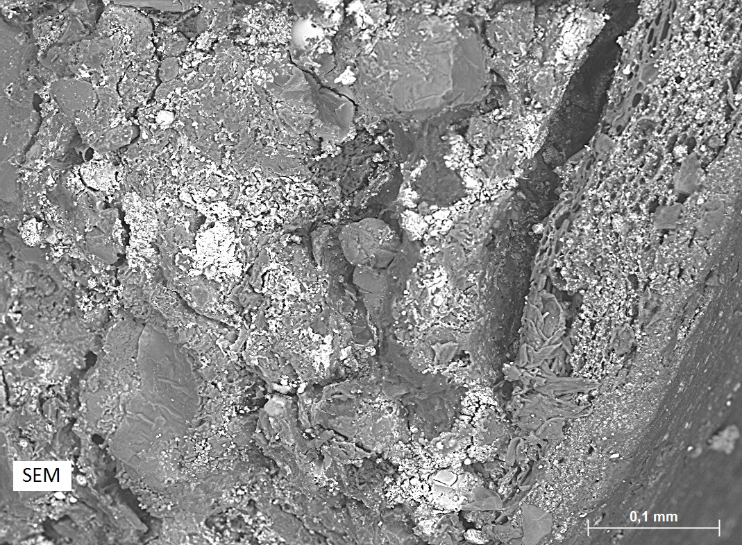 Einführung in die EDX-Materialanalyse mit Tabletop-REM | Bruker