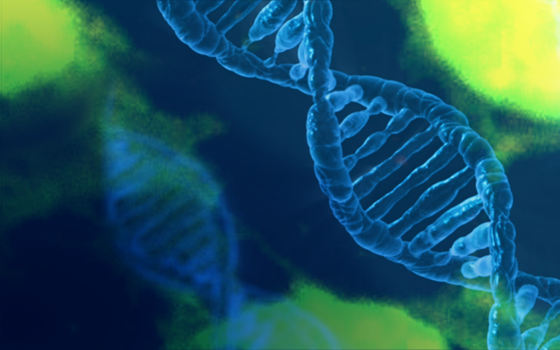 Studying the Mechanics of DNA Rearrangements with Optical Tweezers | Bruker