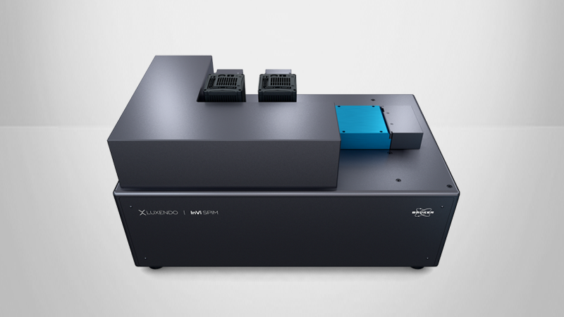 Live Sample Imaging with Light-Sheet | Bruker