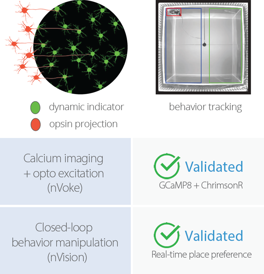Application Note: Behavior-Based, Closed-Loop In Vivo Optogenetics and ...