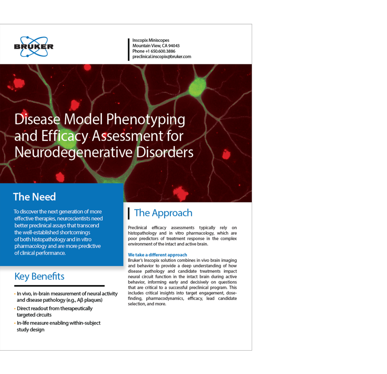 Case Study: Disease Model Phenotyping and Efficacy Assessment for ...