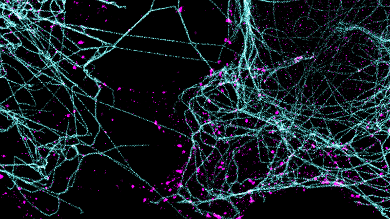 3D Multiplexed Super-Resolution Imaging with DNA-PAINT and the Vutara ...