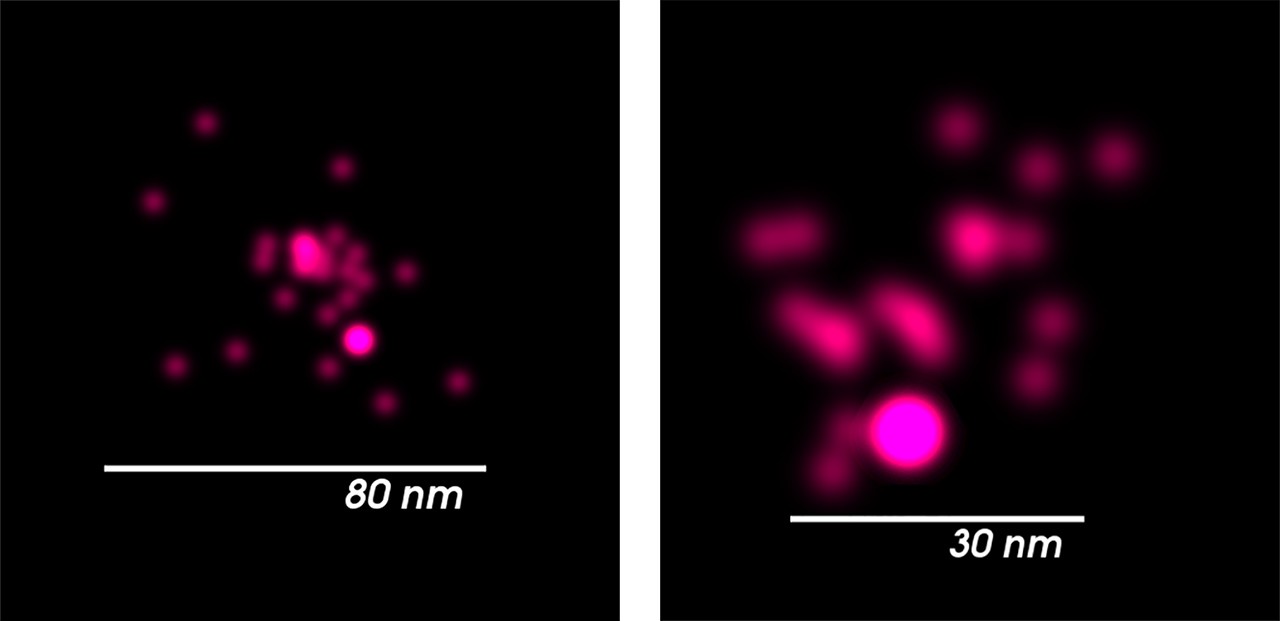 Imaging Extracellular Vesicles with Super-Resolution Microscopy | Bruker