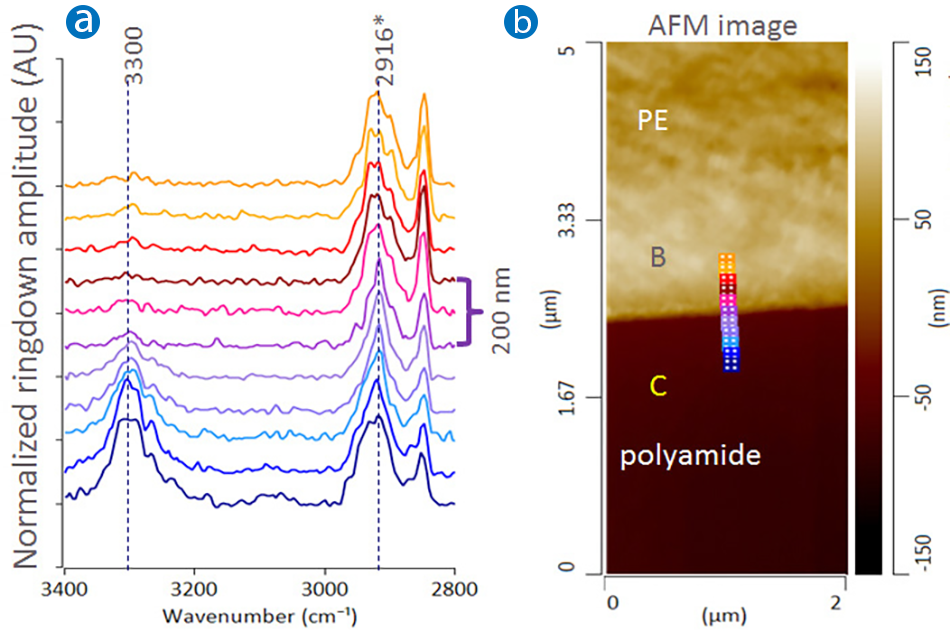 Chemical Characterization of Polymeric Films, Blends, and Self ...
