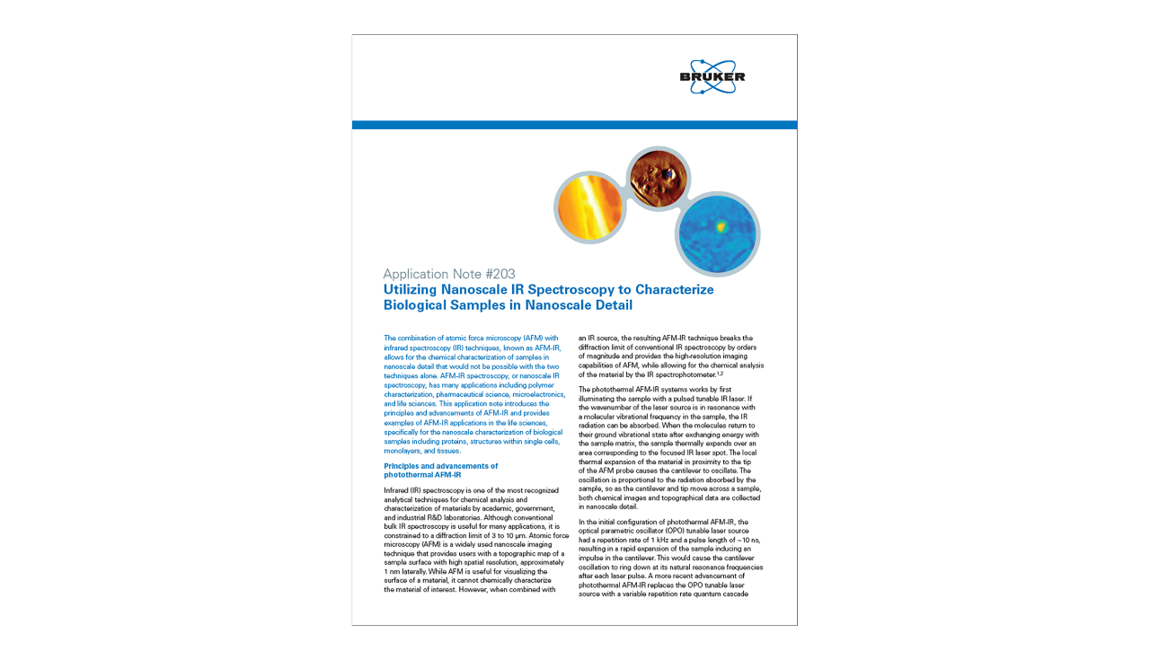 Utilizing Nanoscale IR Spectroscopy to Characterize Biological Samples ...