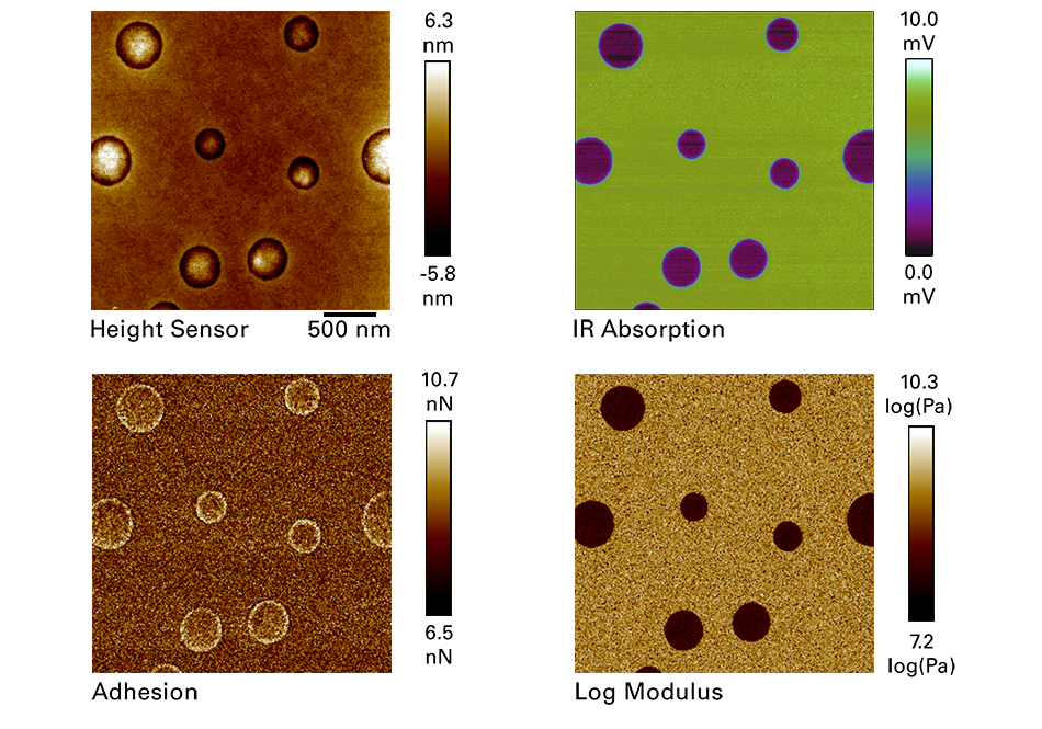 Resonance Enhanced Force Volume AFM-IR (REFV AFM-IR) | Bruker