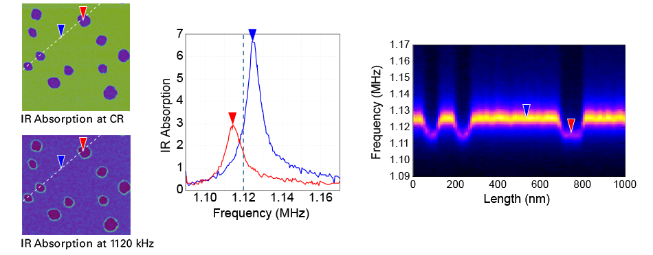 Resonance Enhanced Force Volume AFM-IR (REFV AFM-IR) | Bruker