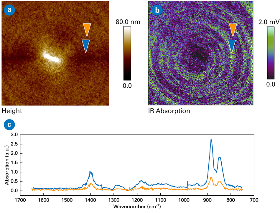 Advantages of Photothermal AFM-IR for Polymer Research | Bruker