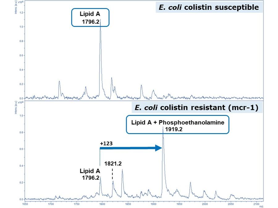 MALDI Biotyper® Sirius 系统 | Bruker
