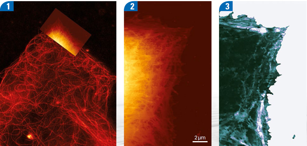 JPK Nanowizard 生物型原子力显微镜 | Bruker