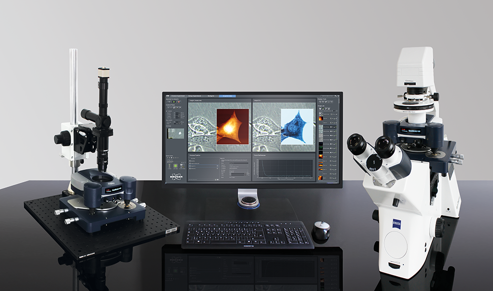 JPK NanoWizard PURE | Bruker