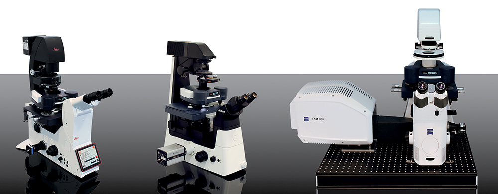 JPK NanoWizard ULTRA Speed 3 | Bruker