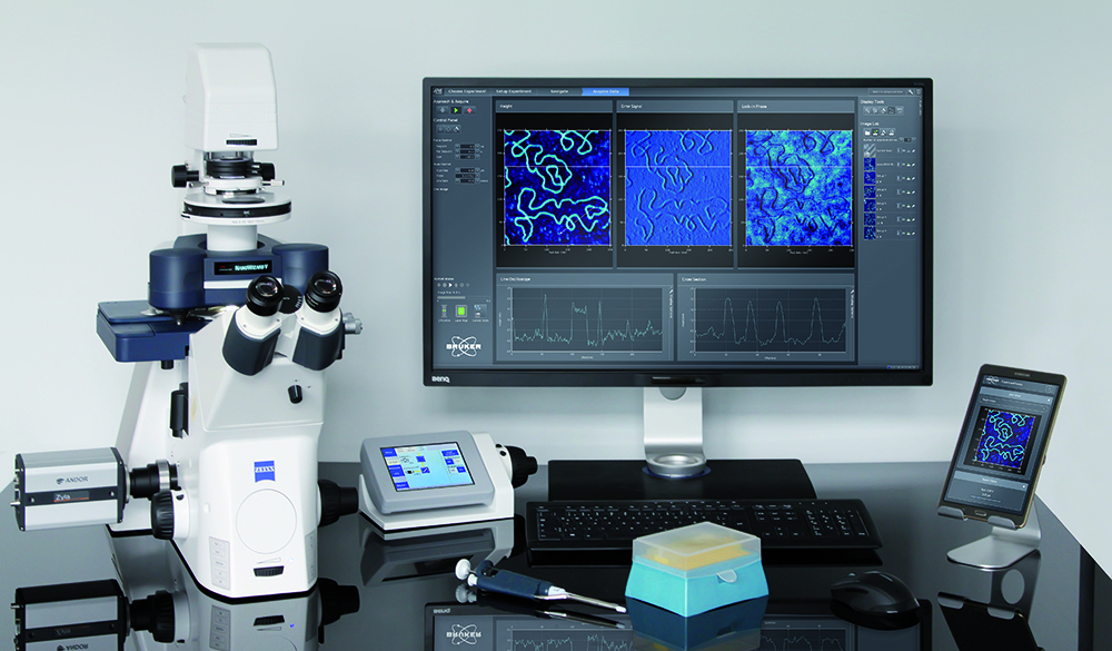 JPK NanoWizard V BioScience AFM | Bruker