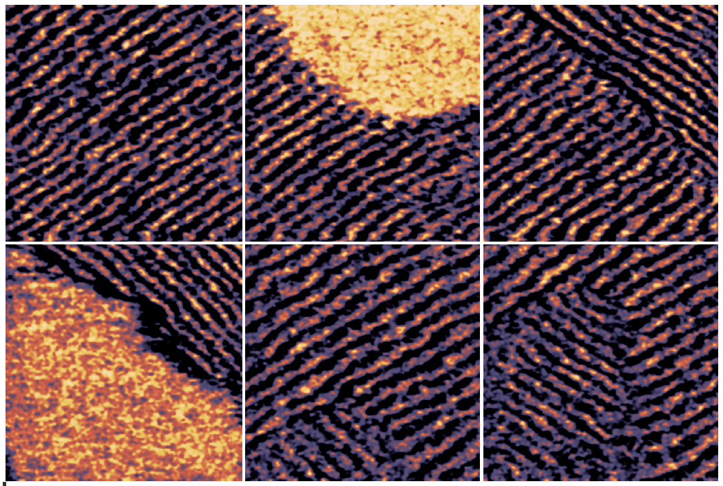 JPK NanoWizard V BioScience AFM | Bruker