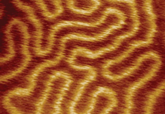 原子力显微镜-Dimension Edge 原子力显微镜