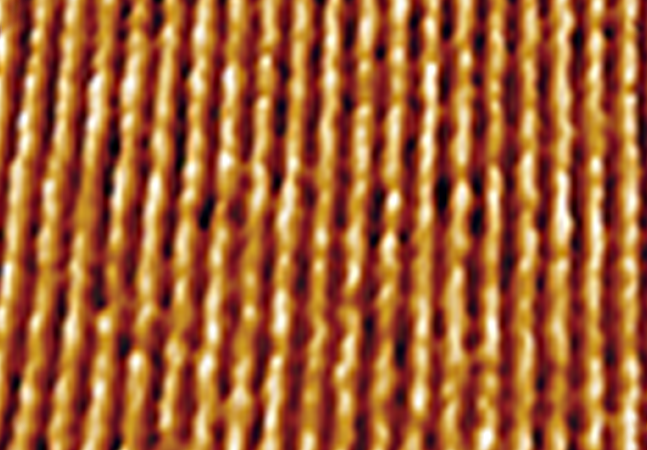 原子力显微镜-Dimension Edge 原子力显微镜