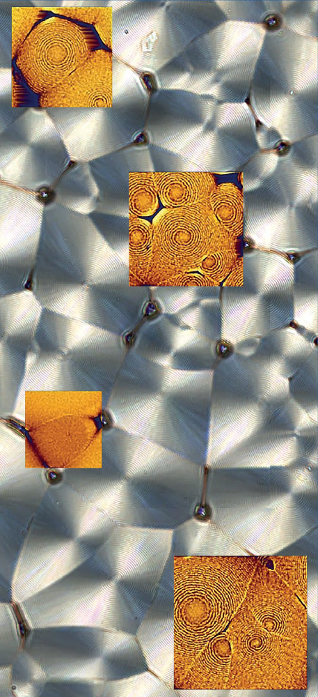 JPK NanoWizard V NanoScience | Bruker