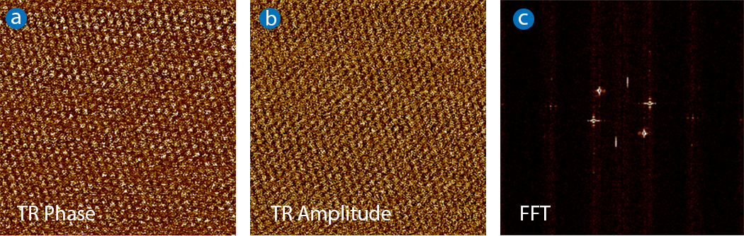 Torsional Resonance Modes | Bruker